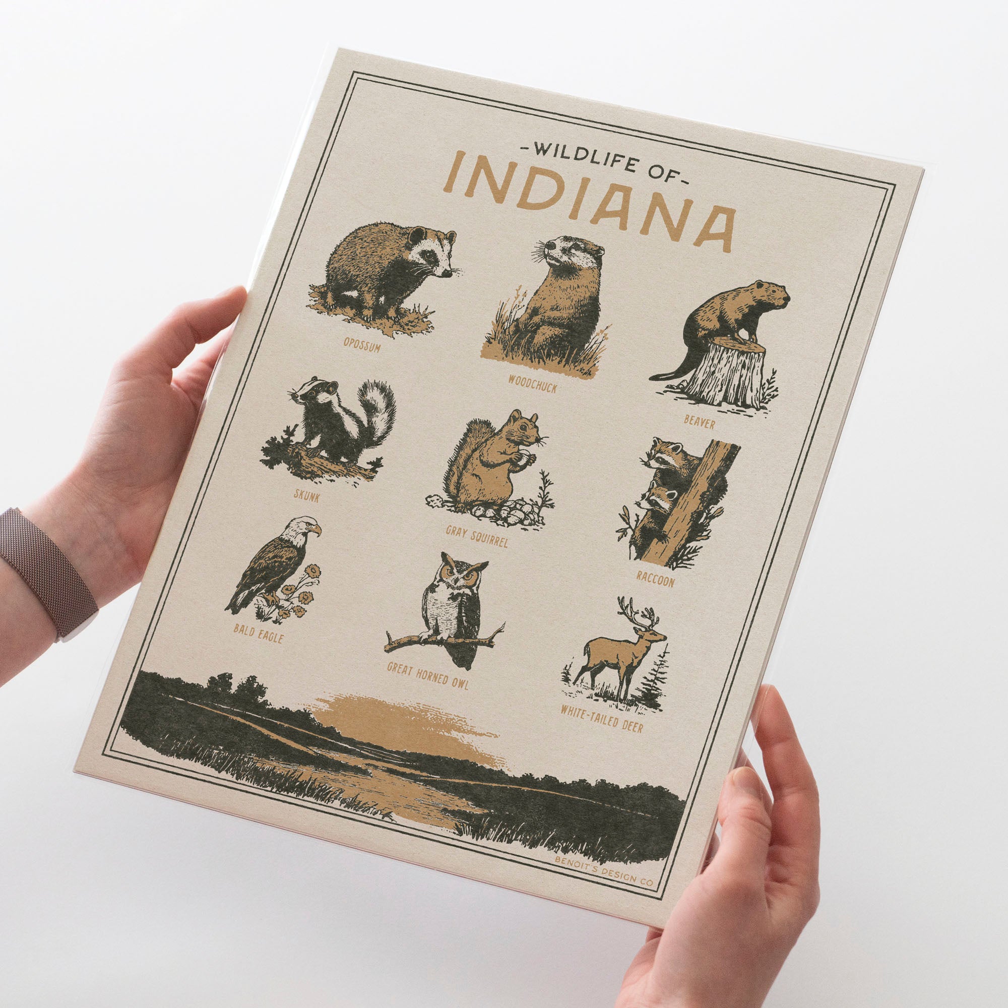 Indiana Wildlife Print – Benoit's Design Co.